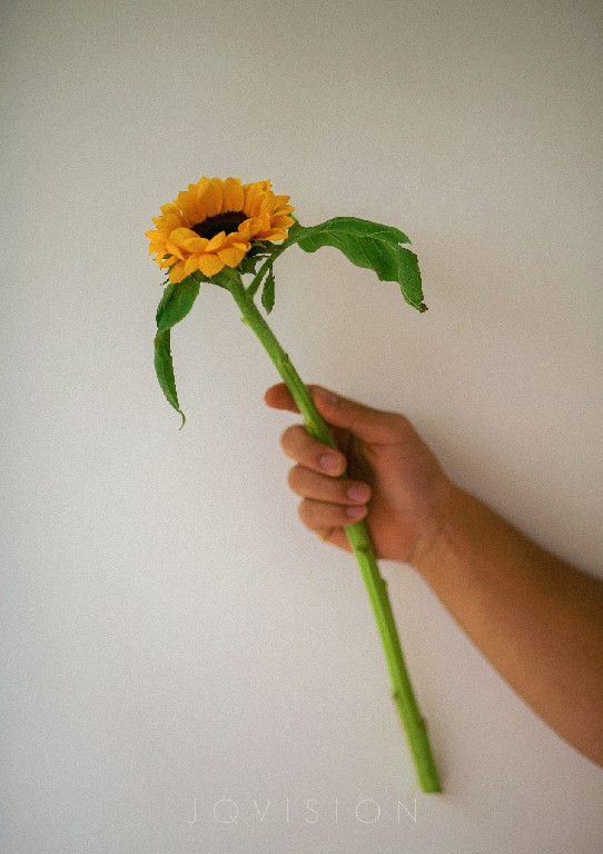 Brother Sunshine Zeng Haoran: Have a nice day alone - iNEWS