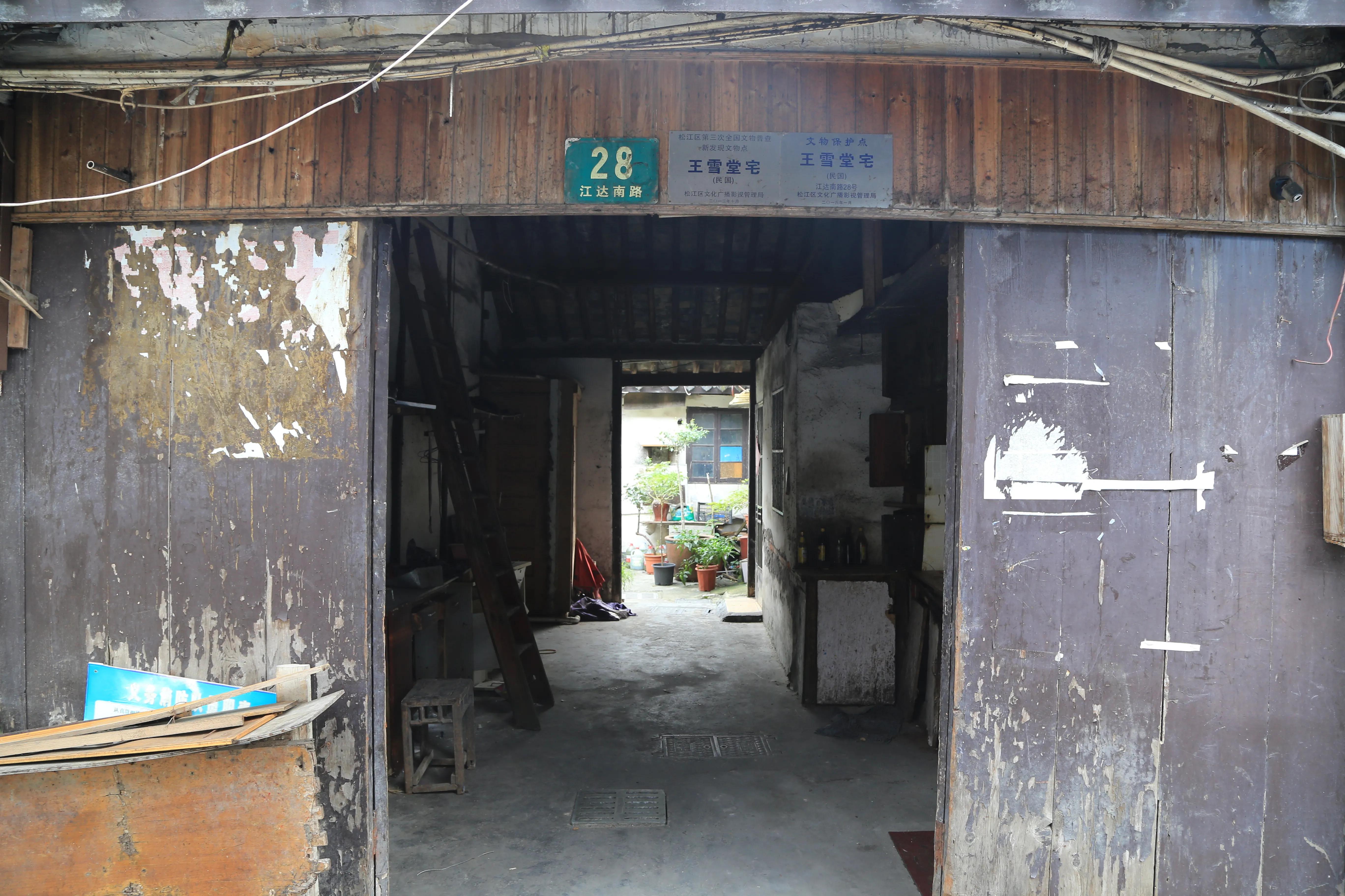 Sijing ancient town, old trees and new branches wait for time - iNEWS