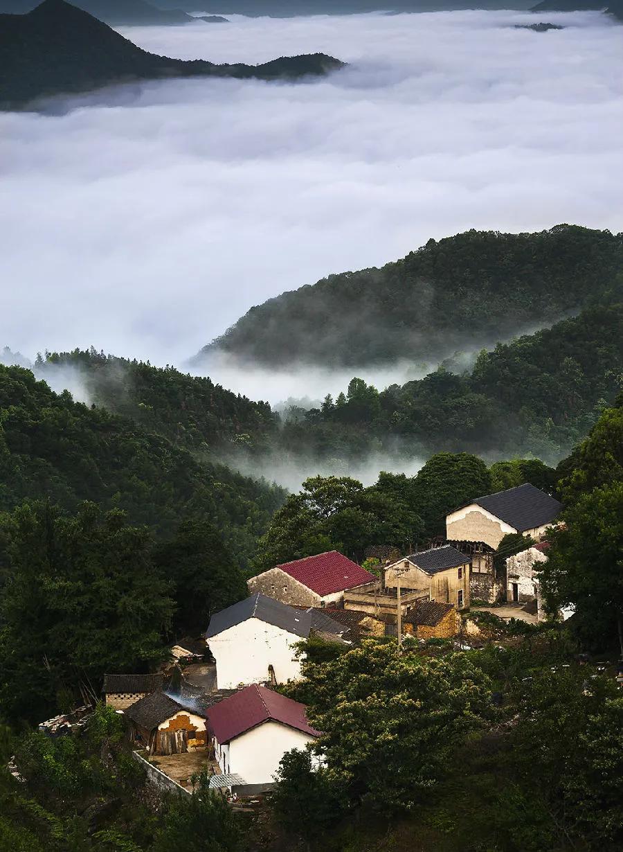 Southern Anhui Fengyun Mountain Township Huanghua - iNEWS