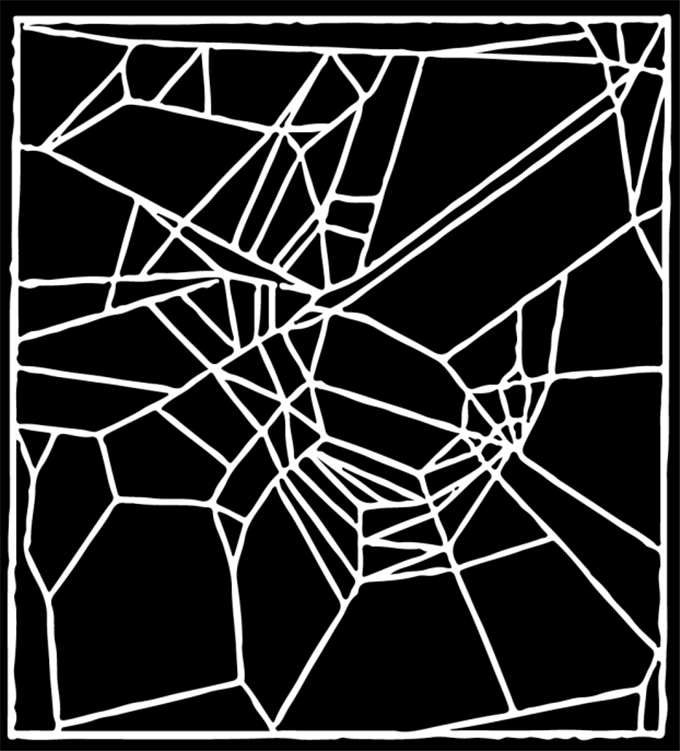 NASA's alternative spider web weaving experiment allows spiders to ...