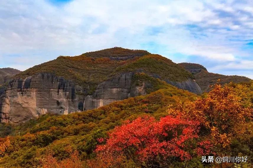 Tongchuan Zhaojin is about to usher in the best viewing season for red ...