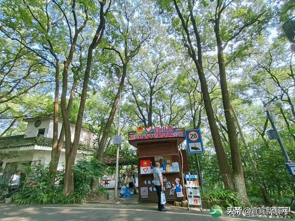 How beautiful is Cuiping Mountain in Yibin?You'll know when you come ...