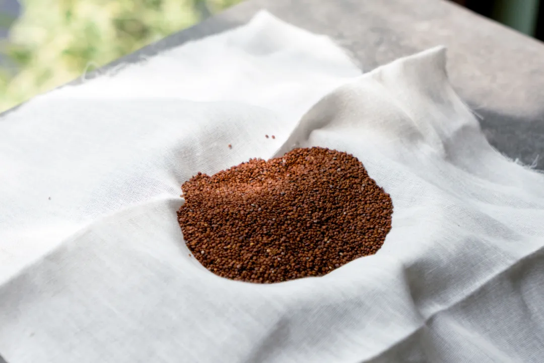 Duang~ a bowl of hand-rubbed ice powder filled with soul is here - iNEWS