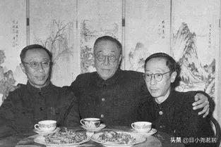 Pu Yi and Shen Zui talk about the past: why Wan Rong derailed?Daily ...