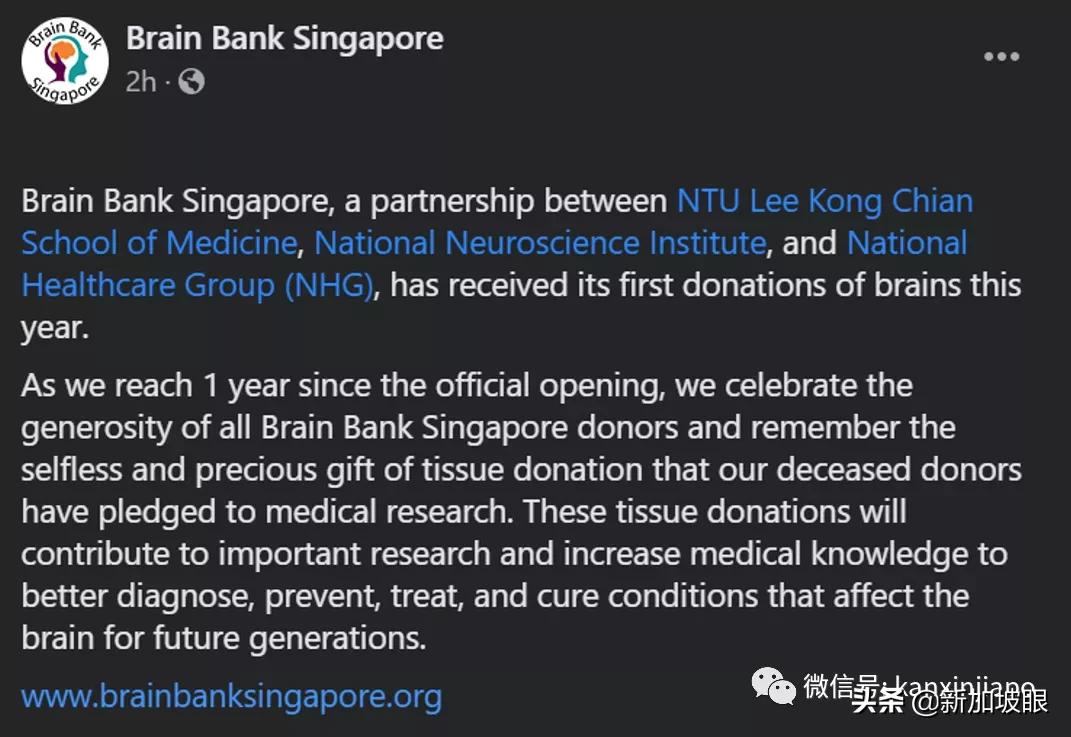 Donate your head? Singapore Brain Bank welcomes two spontaneously ...