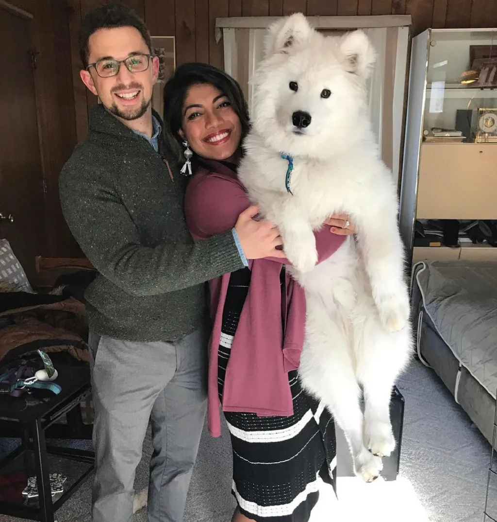 Carrying Samoyed to play, the result scared the silly netizens: Going ...