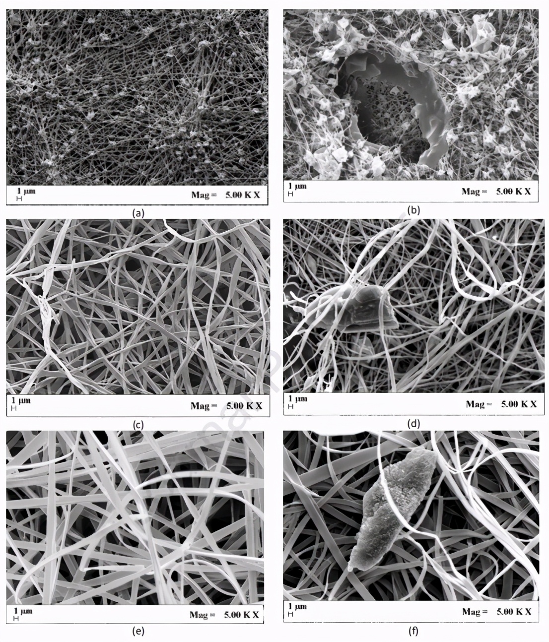 Preparation of vanillin-loaded zein electrospun fiber by ...