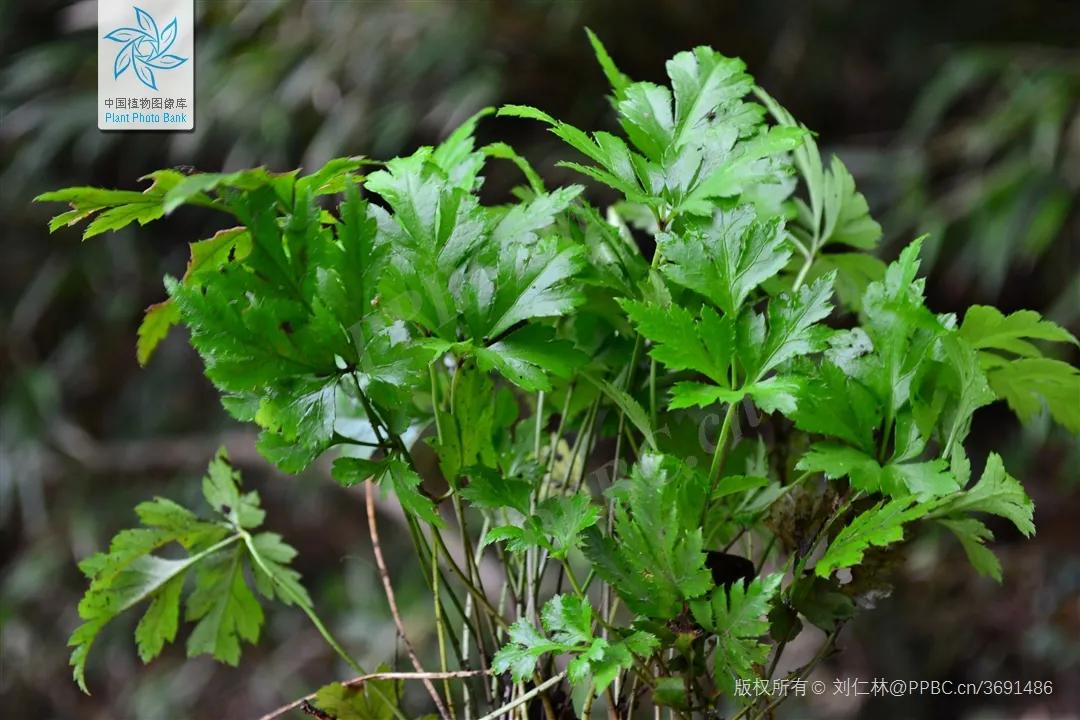 Welcome to COP15 and protect biodiversity - iNEWS