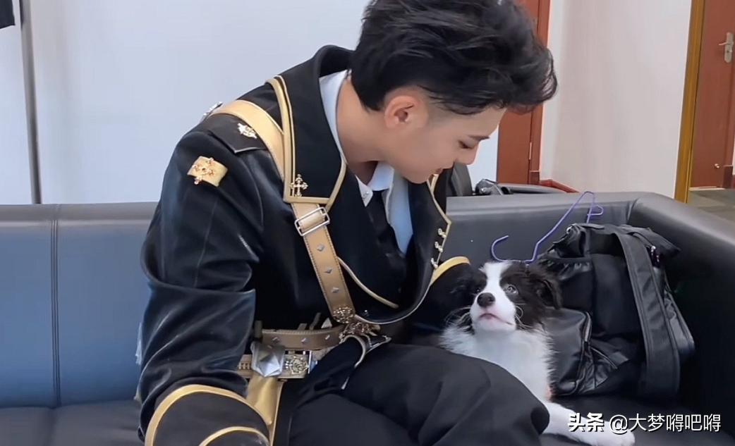 People are not as good as dogs series?Huang Zitao also brings his dog ...