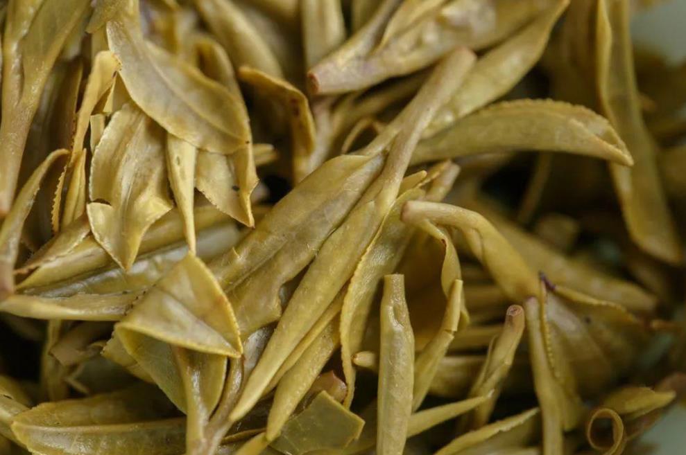 The benefits of growing flowers from tea dregs can help plants resist ...