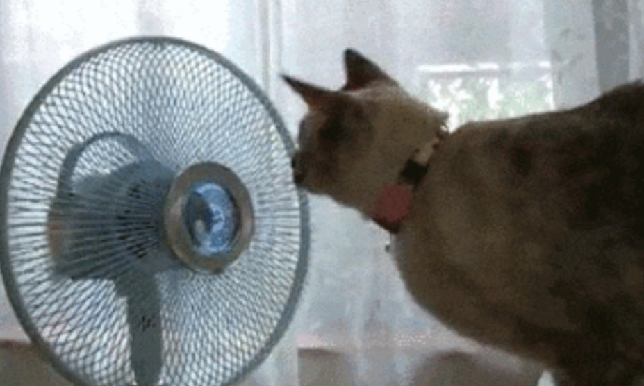 China TCL Electric launches a new fan with no fan blade and silent ...