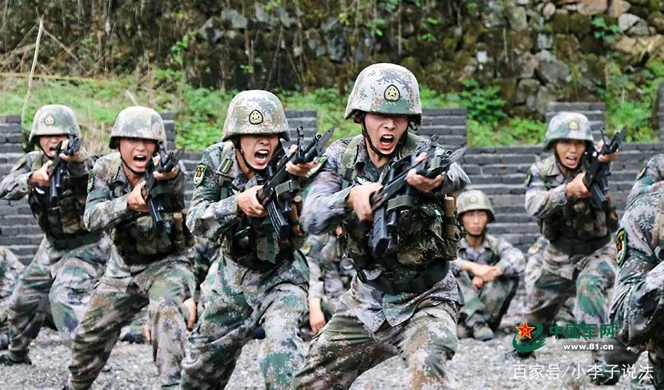 What is a field force?How does its combat effectiveness compare to ...