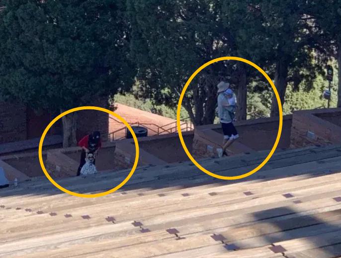 Zhang Heng's appeal is supported, and Gengbo apologizes to his parents from the air, but ...