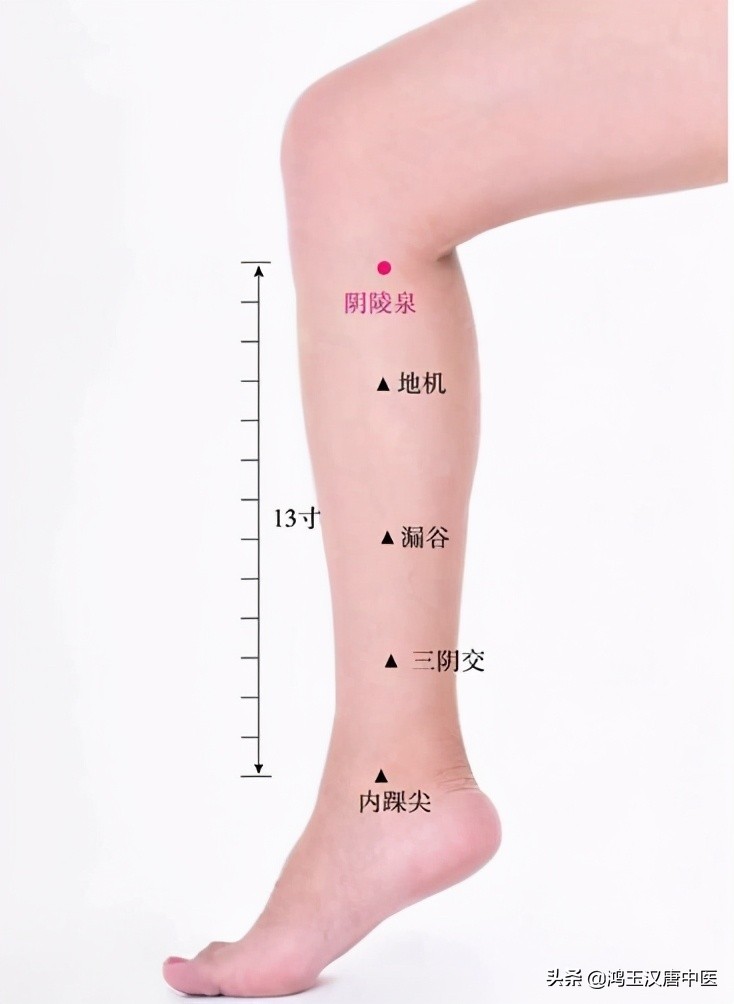Remember the acupuncture point of Yinlingquan, you can easily remove ...