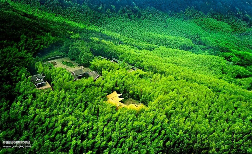 Chashan Bamboo Sea, a neglected 4A National Forest Park - iNEWS