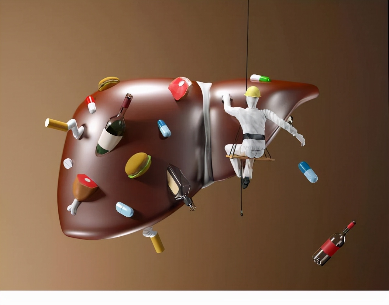 The liver is the "chemical factory" of the human body. It is ...