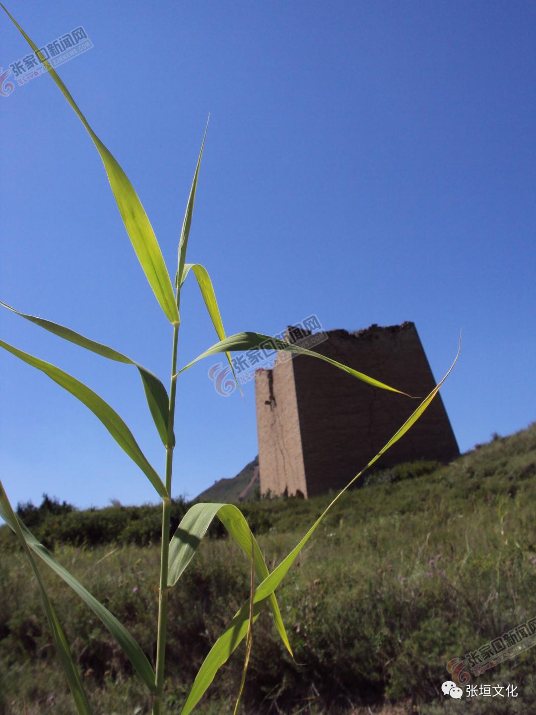 The ancient and mysterious villages of Chongli - iNEWS
