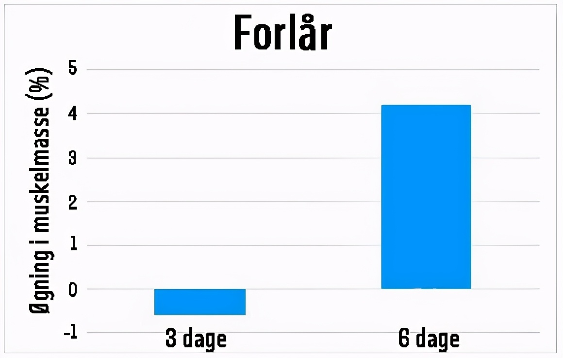Training frequency: how it affects strength gain - iNEWS