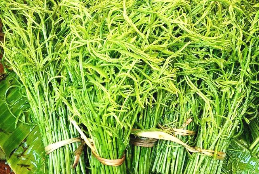 How wild is the vegetable market in Yunnan?You have never seen the ...