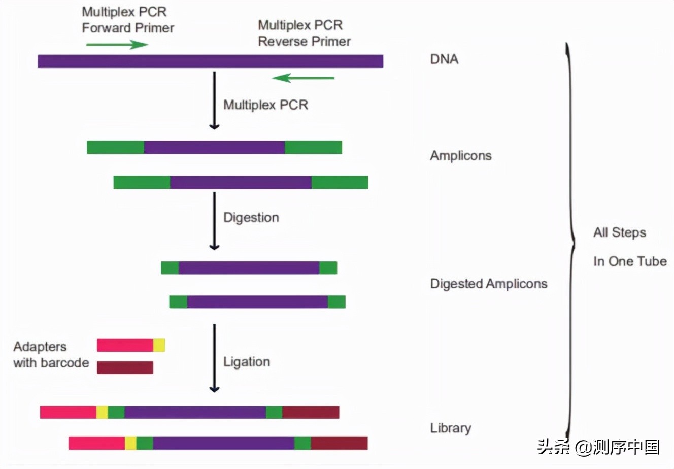 Novartis launches a new amplicon library building kit to improve the ...