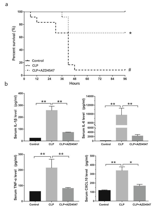 AZD4547 inhibits fibroblast growth factor receptor - iNEWS