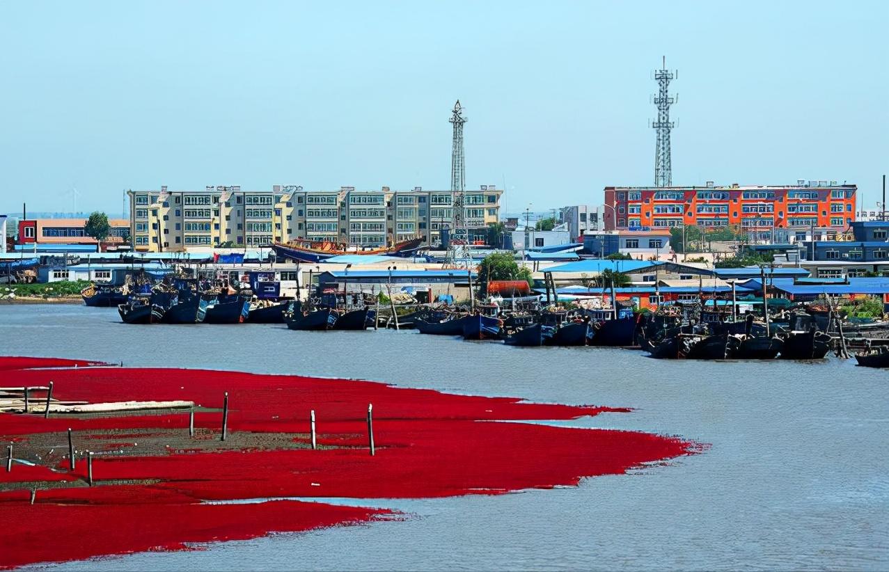 Panjin is clearly one of the five cities in western Liaoning. Why do ...