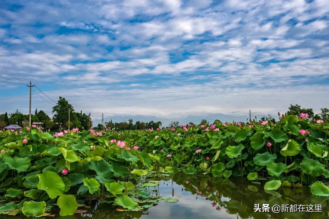 I heard that "Xia Yuhe" is beautiful? - iNEWS