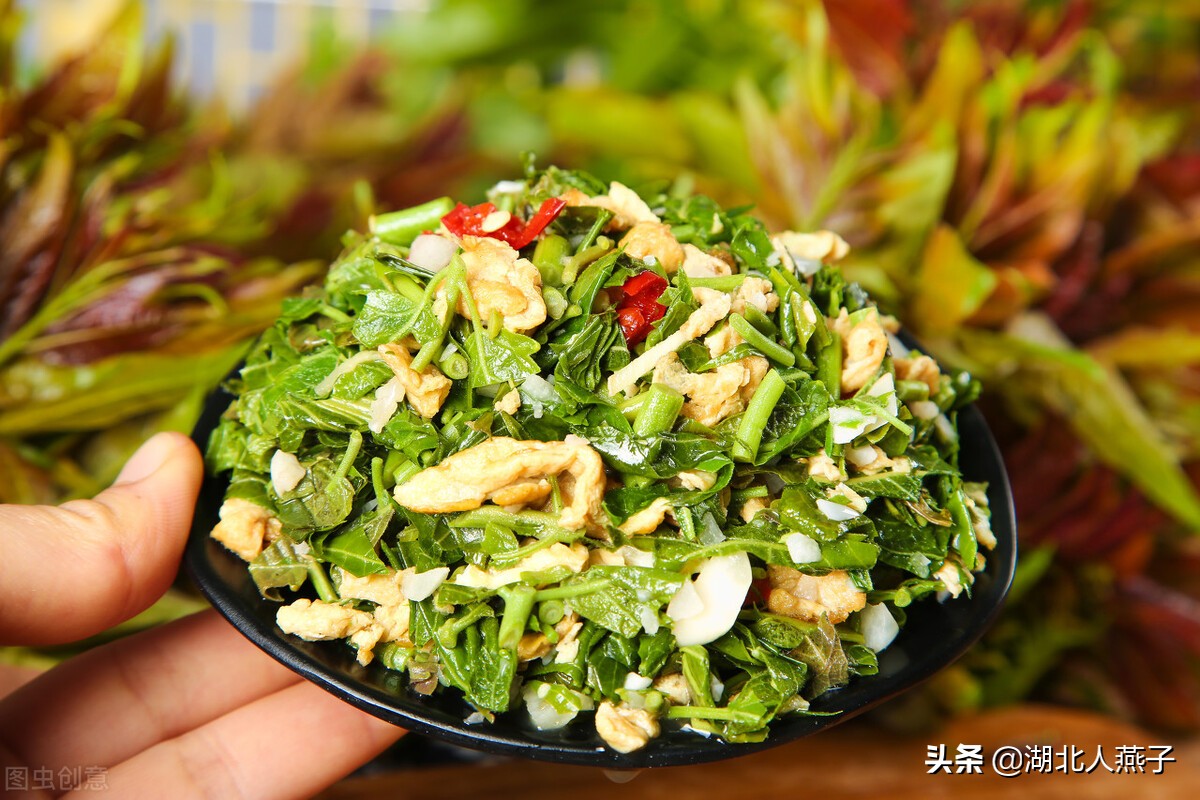 Gu Yu is here, remember to eat 6 seasonal vegetables, nourishing and ...