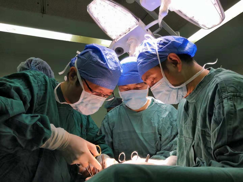 Can humans and animals really cross?Japan's breakthrough in human-beast ...