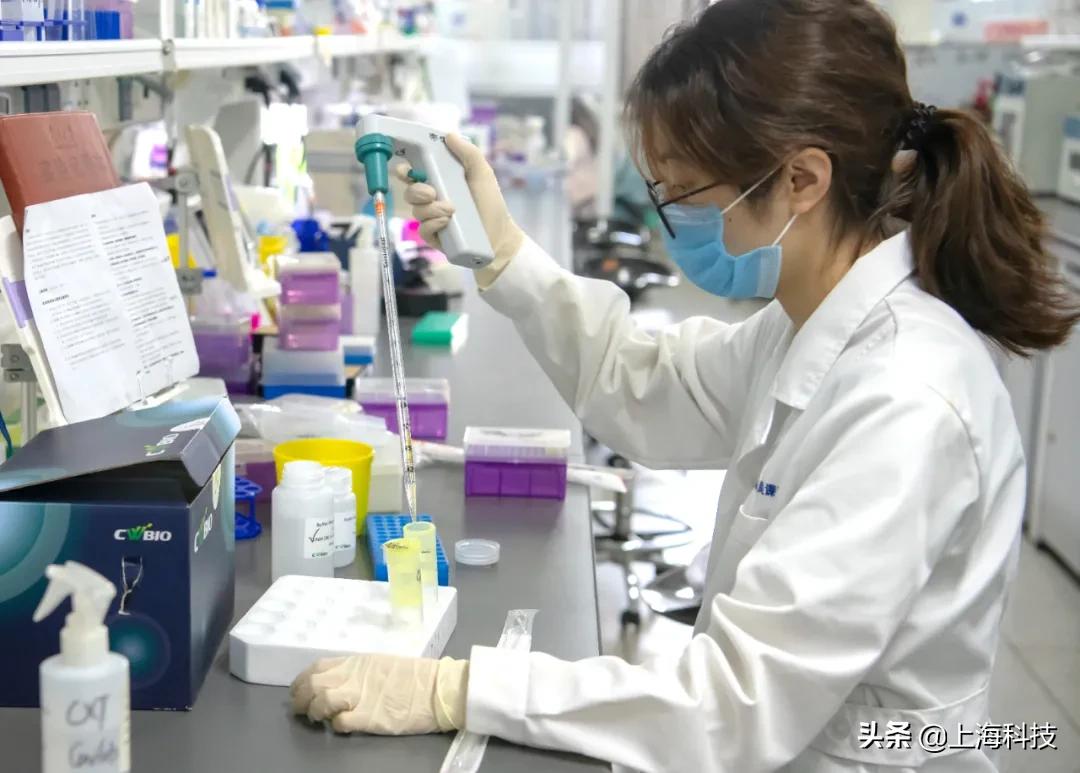 In the research institute of Magic City, researchers and viruses "fight ...