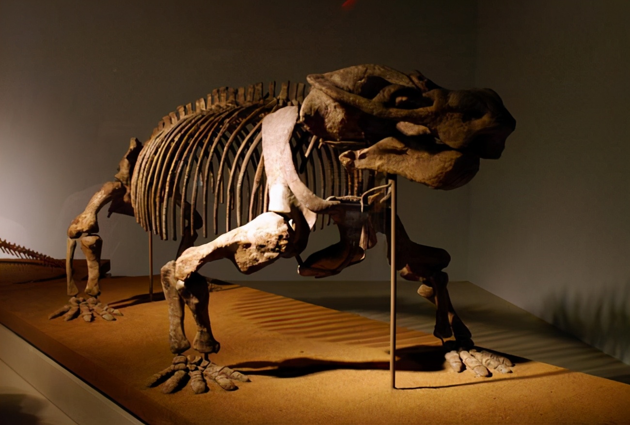 Many extinct species have reappeared, one of which has been extinct for ...