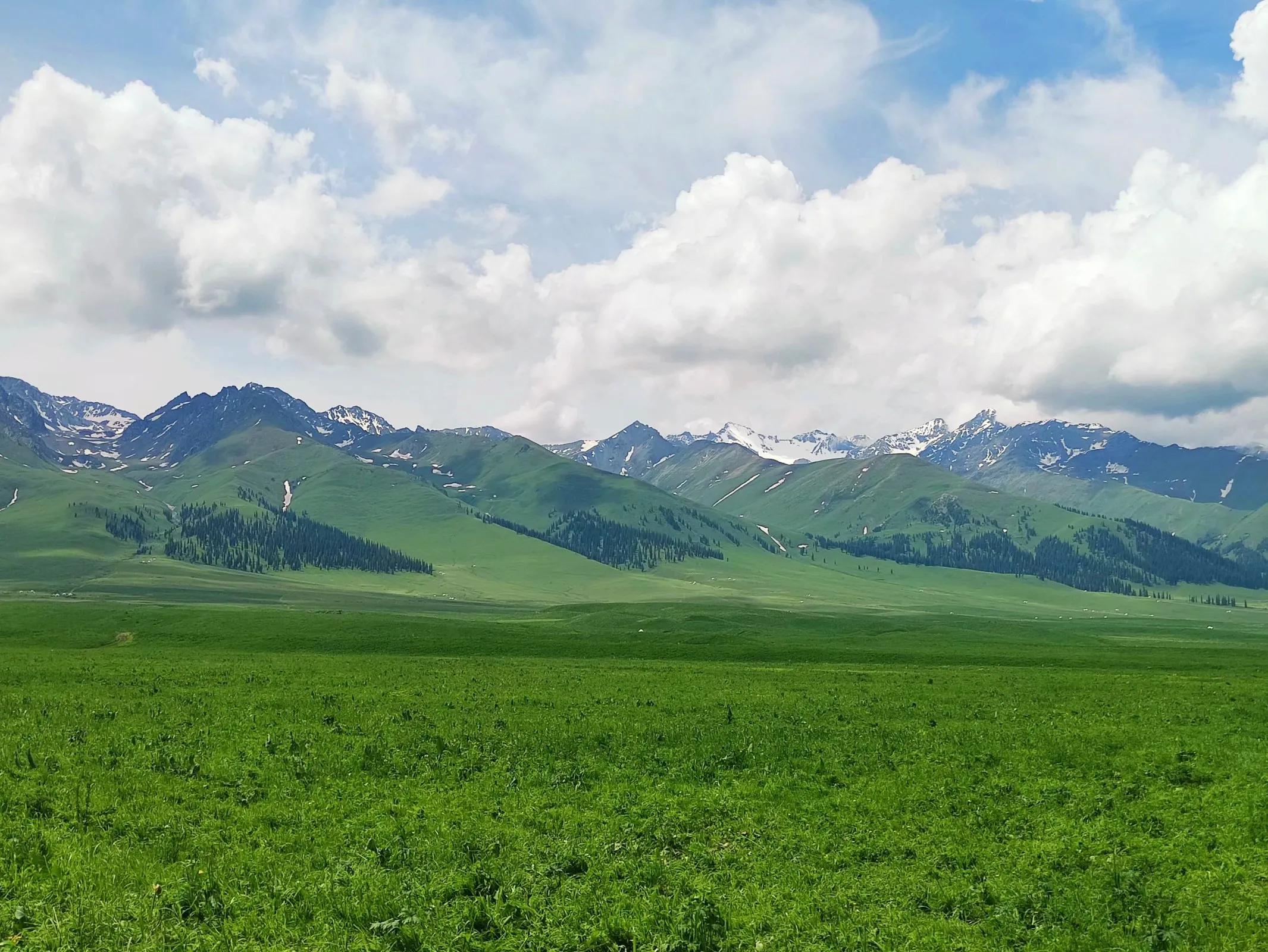 Nalati Grassland, my favorite place in Xinjiang, better than visiting ...
