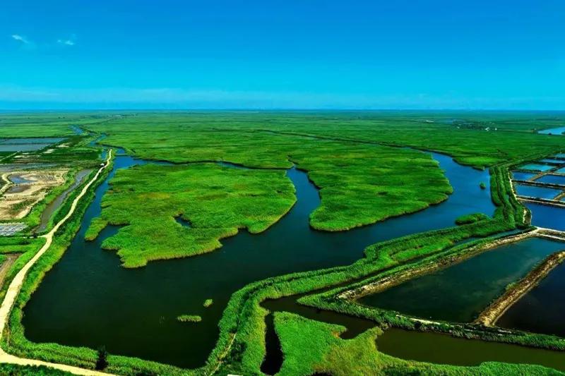 Panjin Tourism Resources: Lizhitiancheng - iNEWS