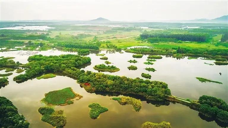 Haiwei Wetland Park, the top ten scenic spots in Changjiang: the ...