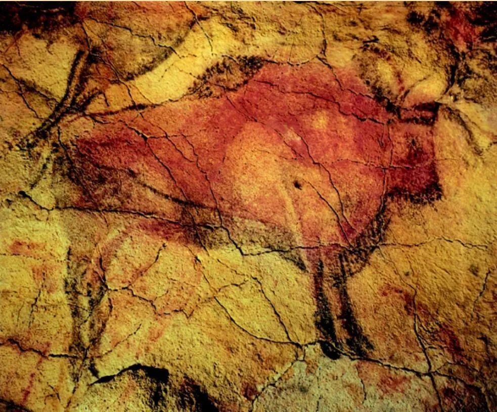 From the Cave of Altamira to Picasso, from Leyland to Martin Parr - iNEWS