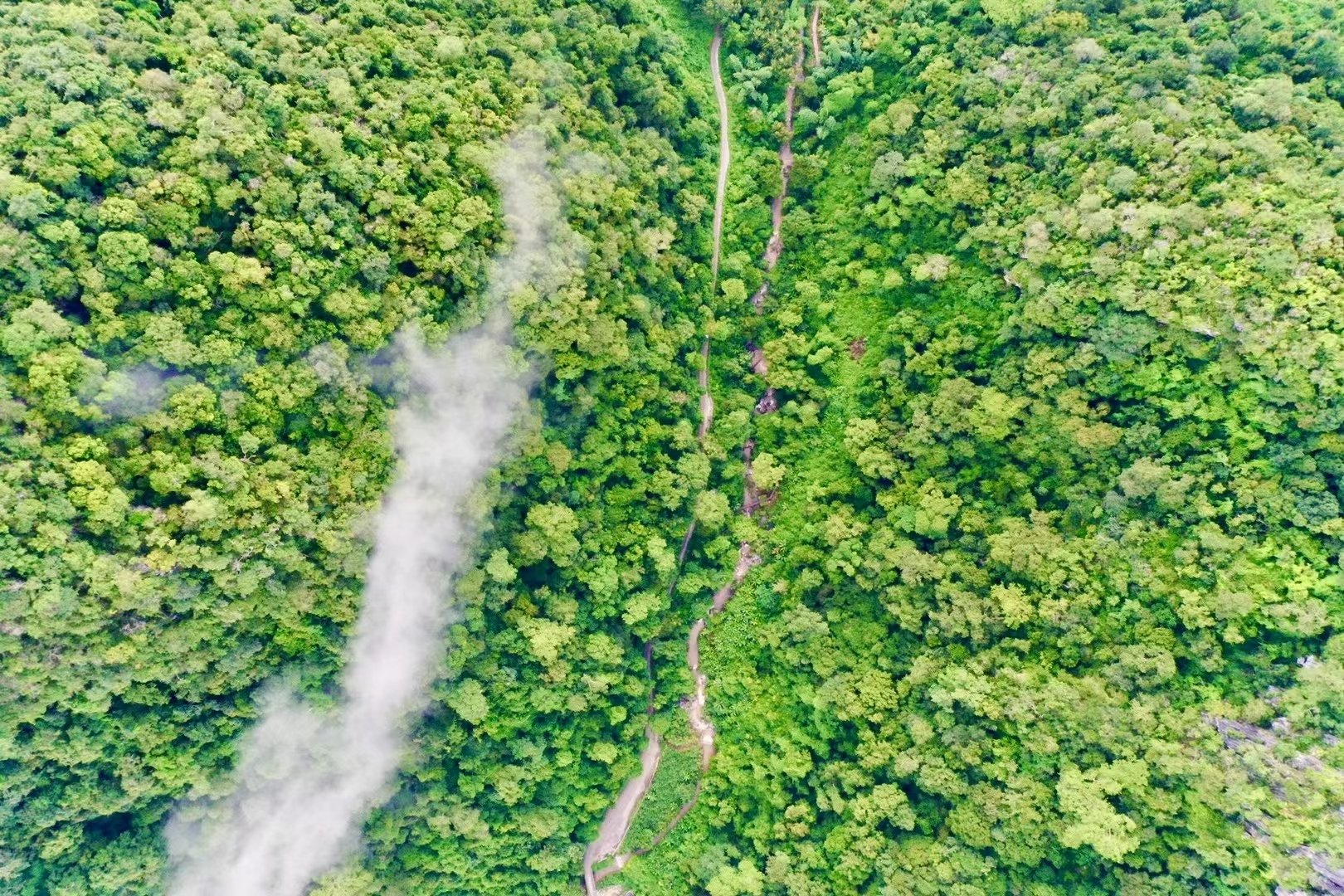 The most powerful ecosystem on earth, count the macro and micro ...