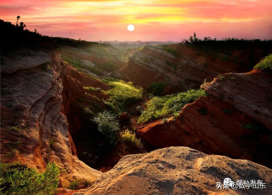 Laiyang, the first complete dinosaur fossil excavation site in New ...