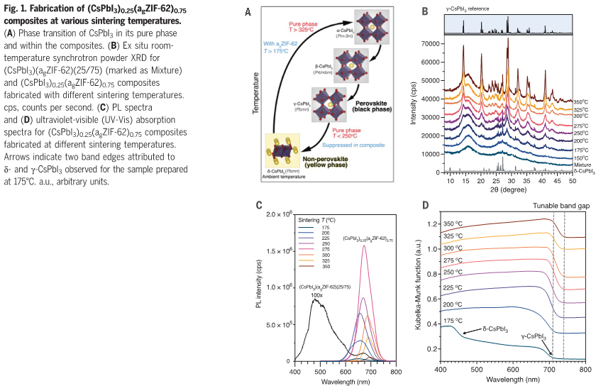 Liquid phase sintering of lead halide perovskite and metal organic ...