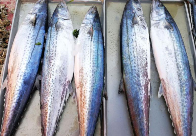 This fish is cheap and has no thorns. Don't feel soft when you ...