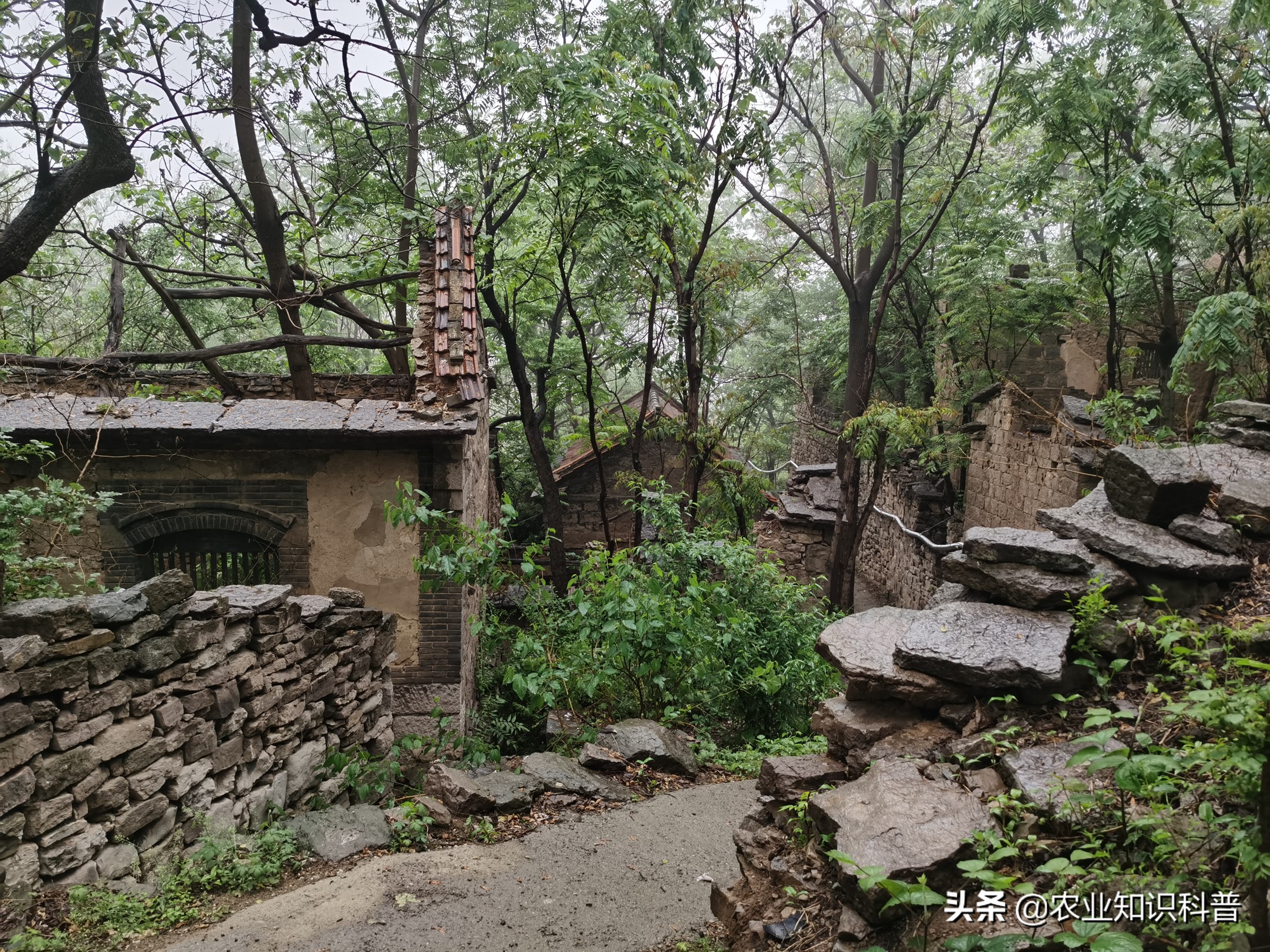 Chinese Village: Beishansi Village in the deep mountains of Zibo ...