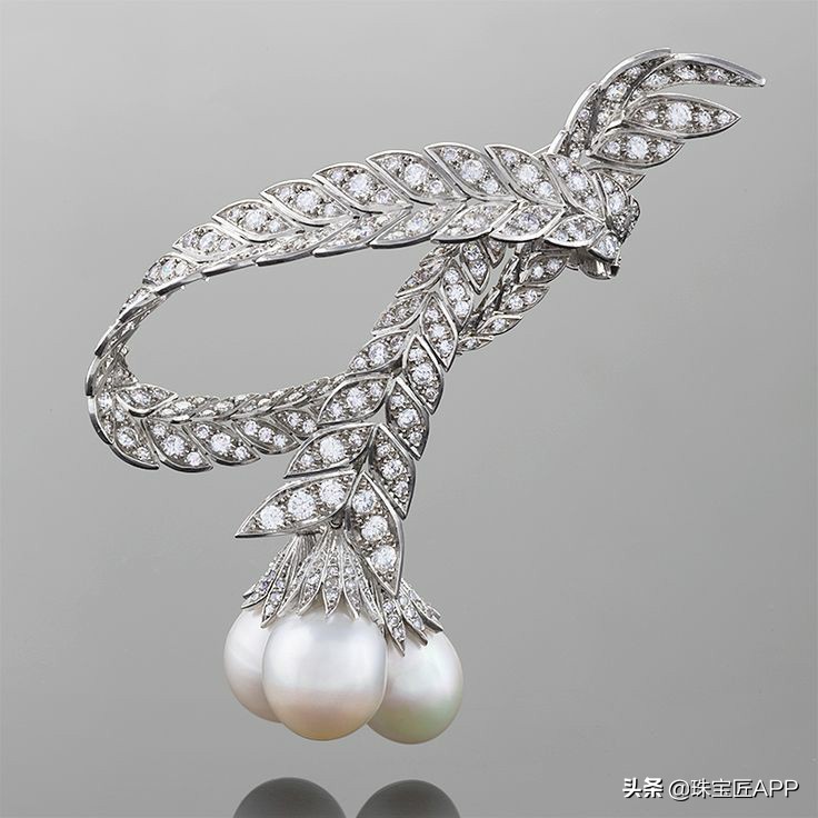 The most beautiful bird of paradise designed, stunning the world, but ...