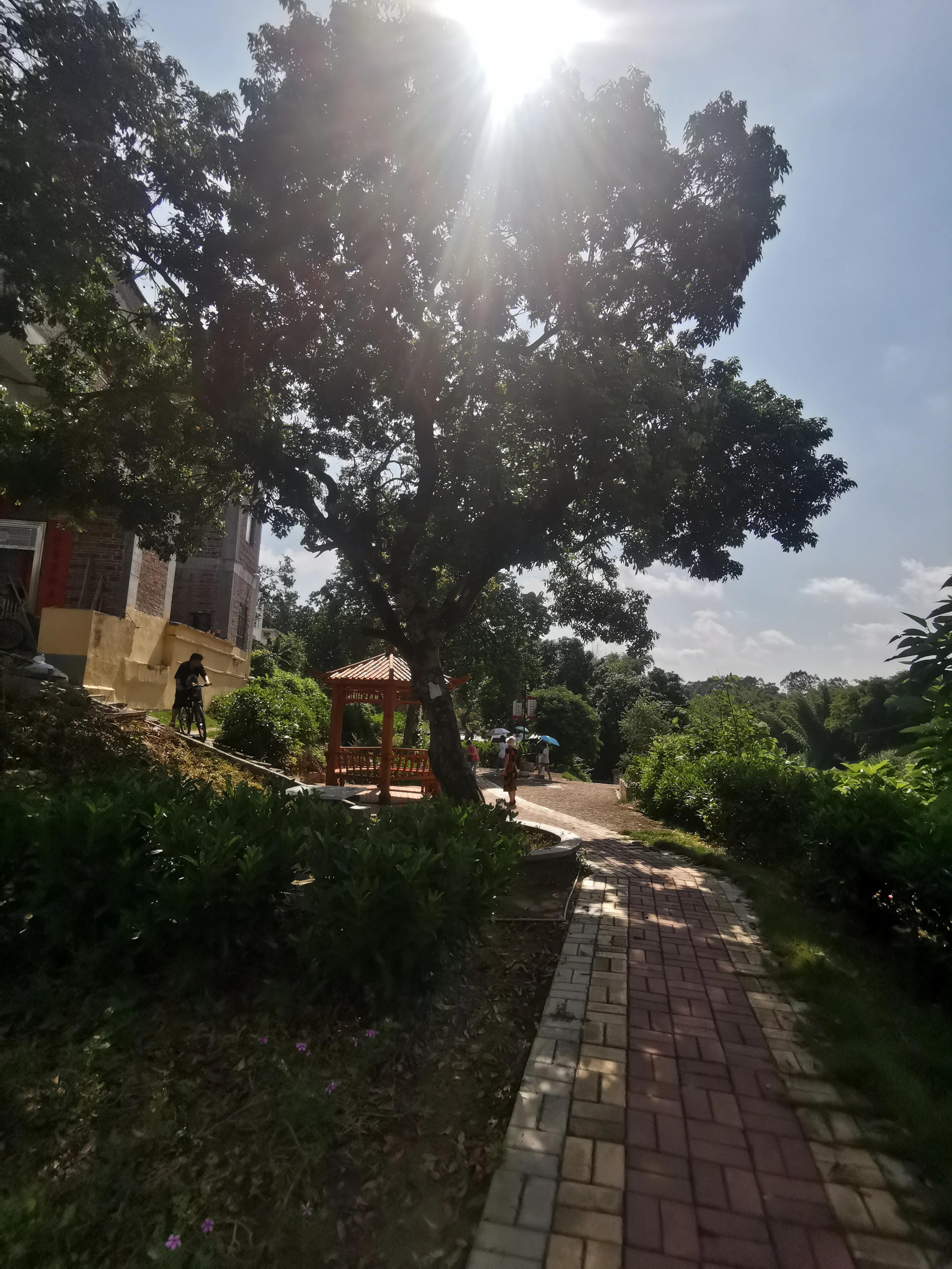 Niujiaoba, Tianxin Village, Beautiful Countryside, Luoding City - iNEWS