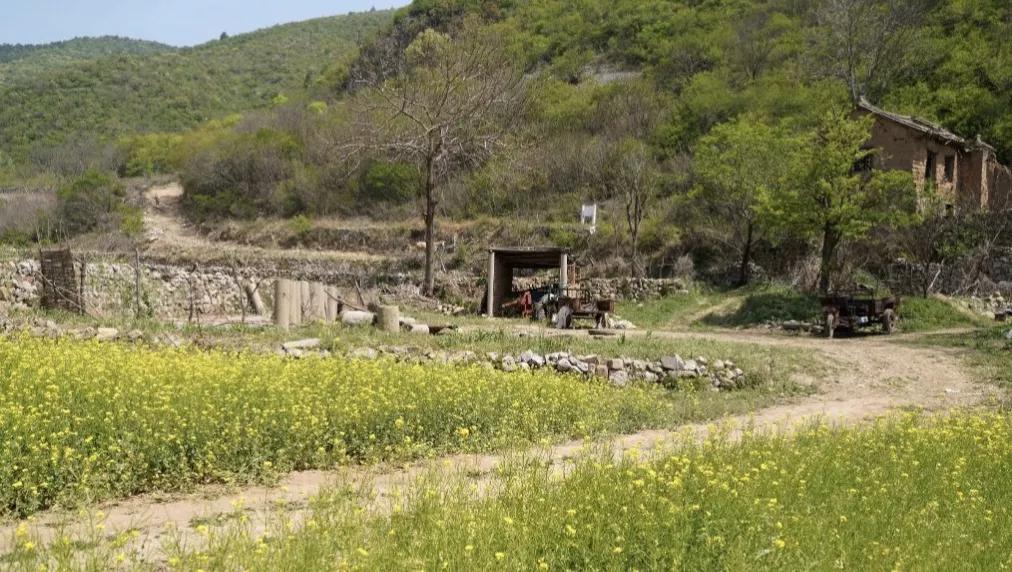During the Lantern Festival, "Chang'e Dropping the Jinshan Mountain ...