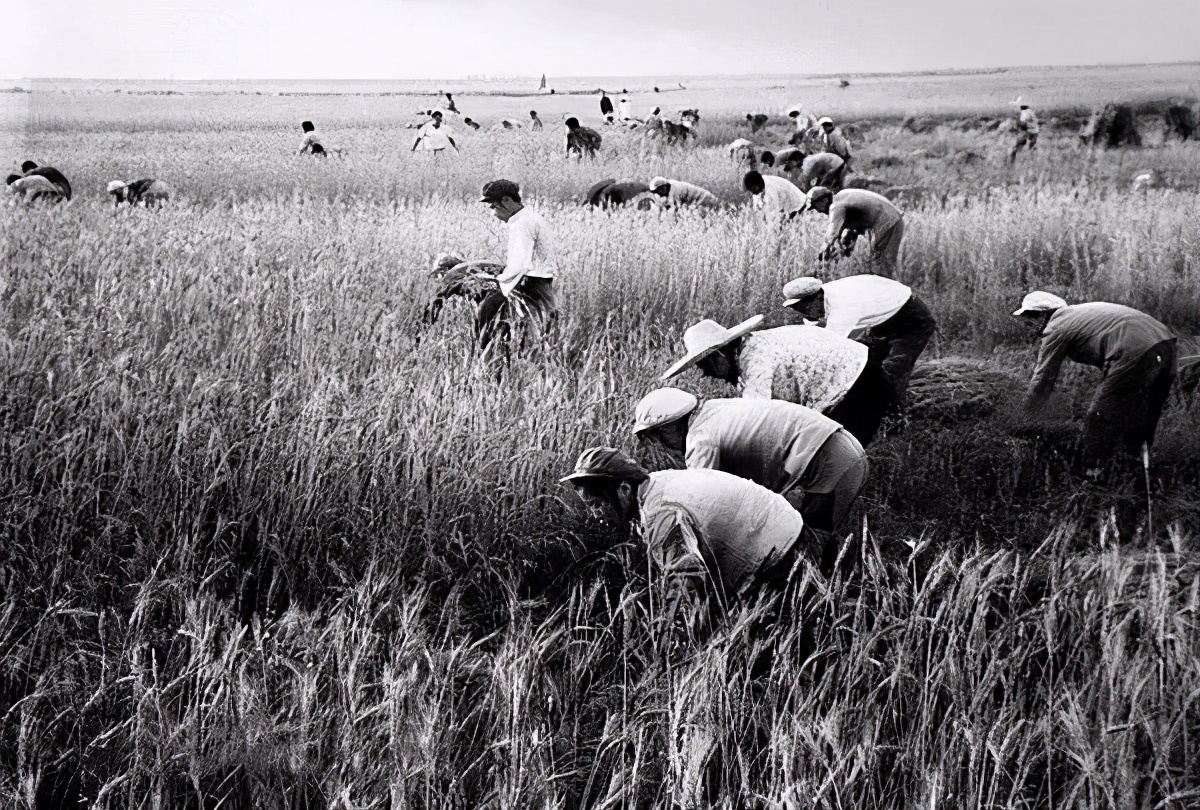 The life I experienced in the "May 7 Cadre School" - iNEWS