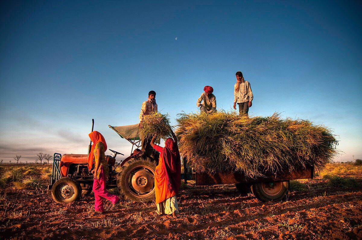 India has the world's largest area of arable land, but its food ...