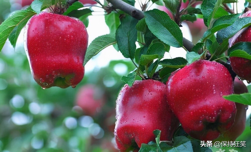 Top Ten Specialties in Gansu Province - iNEWS