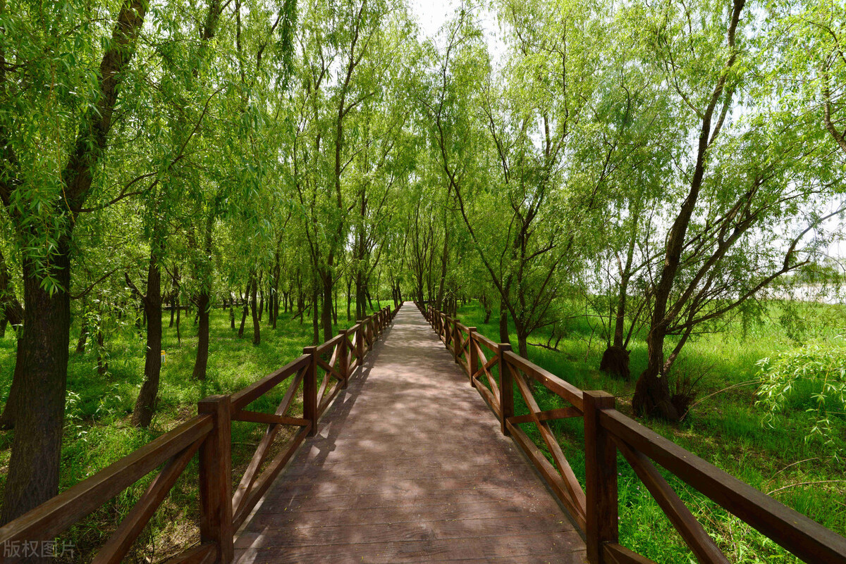 Nanjing River View TOP1.—Hexi Yuzui Wetland Park - iNEWS