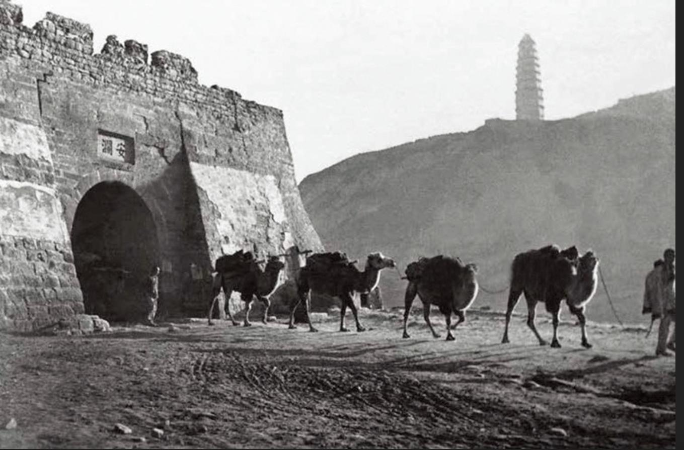 He began to live on the run at the age of 4. At the age of 16, he was ...