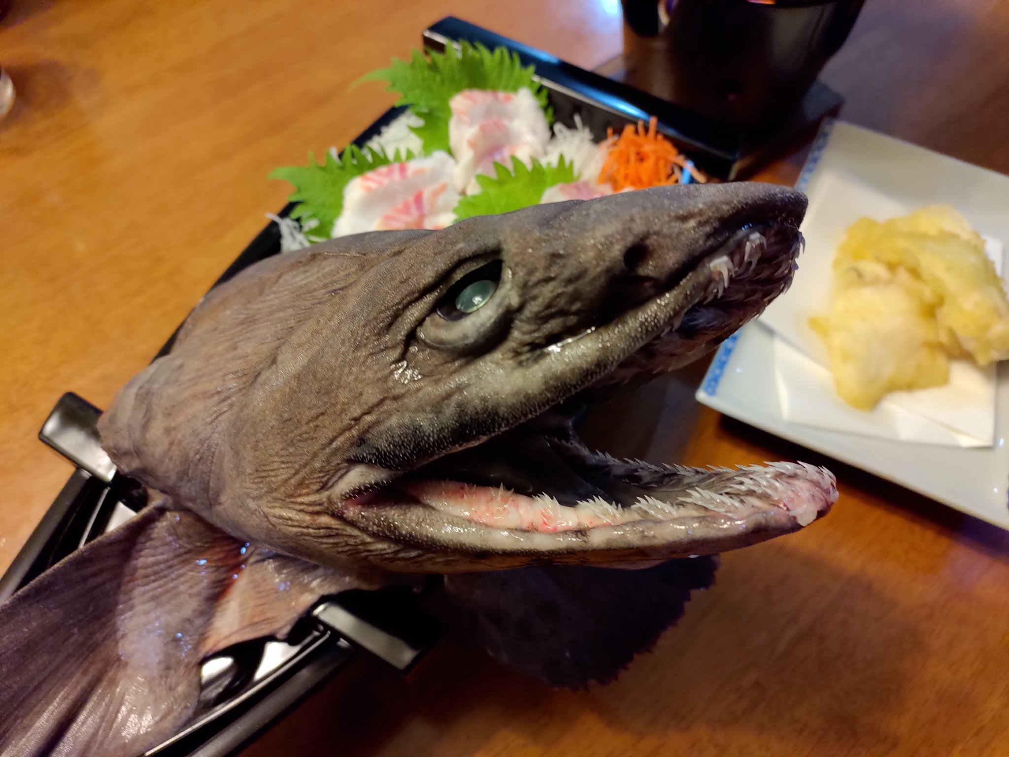 Japan again?Sharks can make sashimi, the urea smell is bursting, and ...