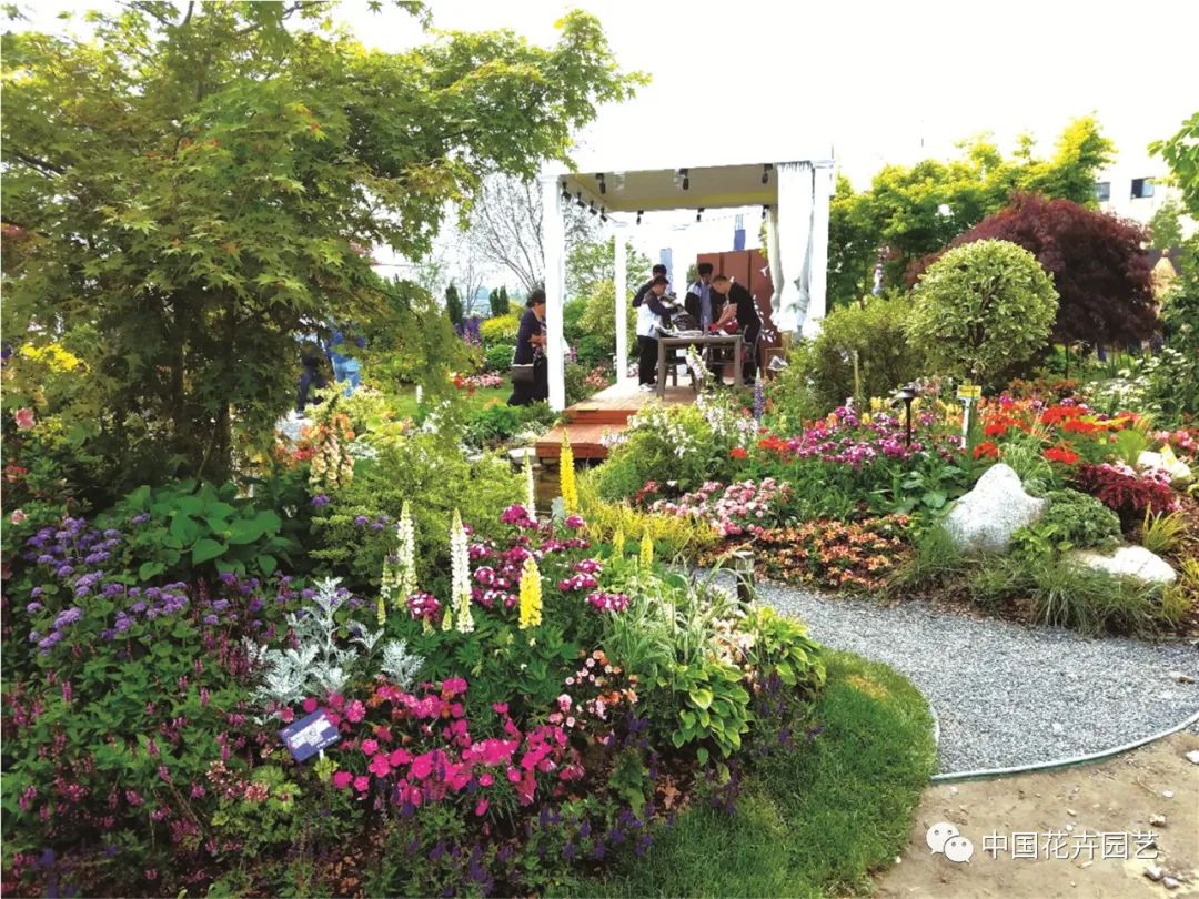 Also talk about long-lasting flower borders and display flower borders ...